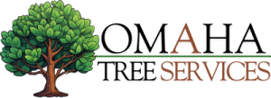 Omaha Tree Services | Certified Arborists in Omaha, NE